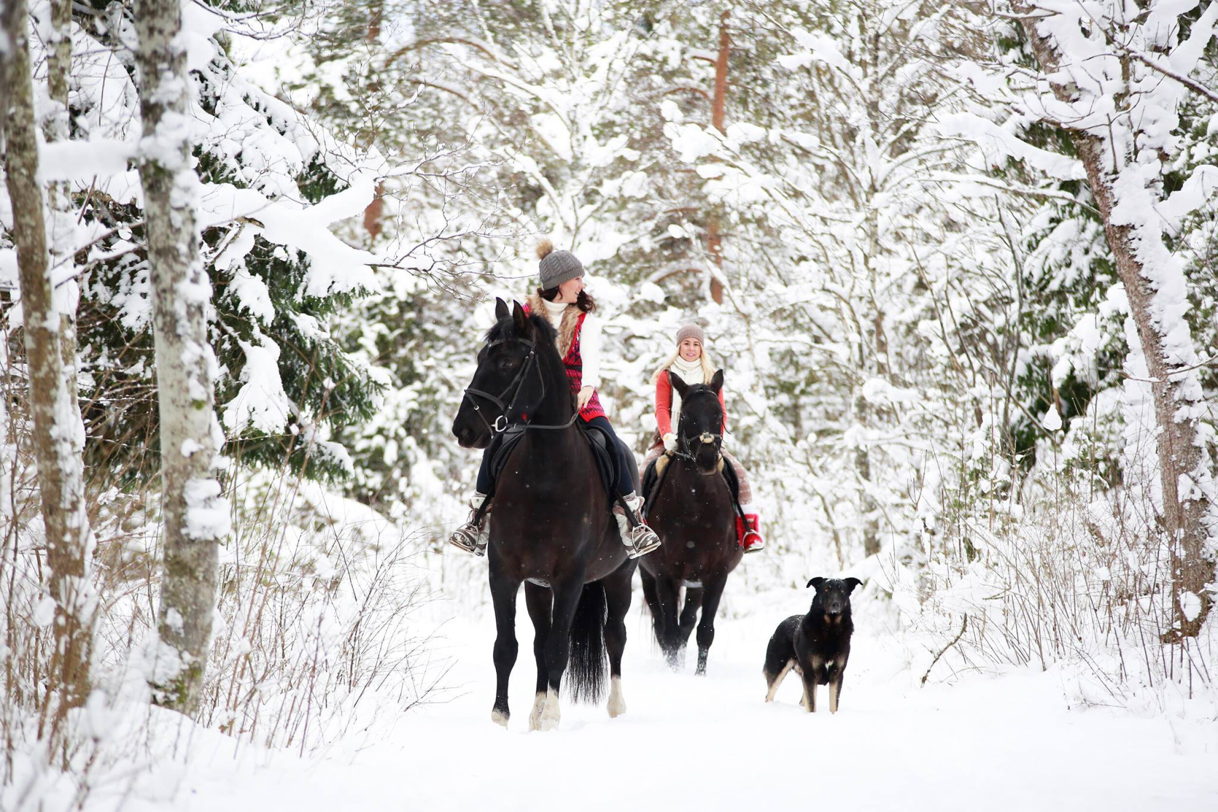 Kahetunnine ratsamatk - Juurimaa tall |Kingitus.ee